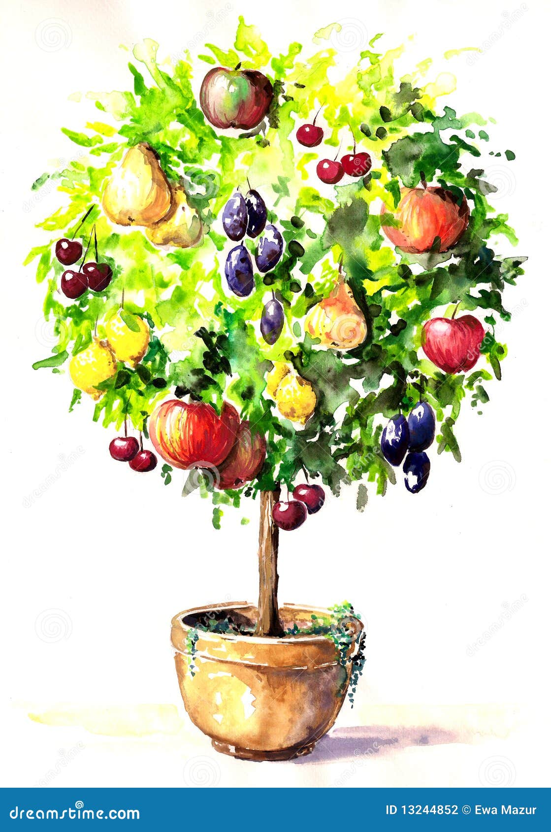 Tree stock illustration. Illustration of multi, vitality - 13244852
