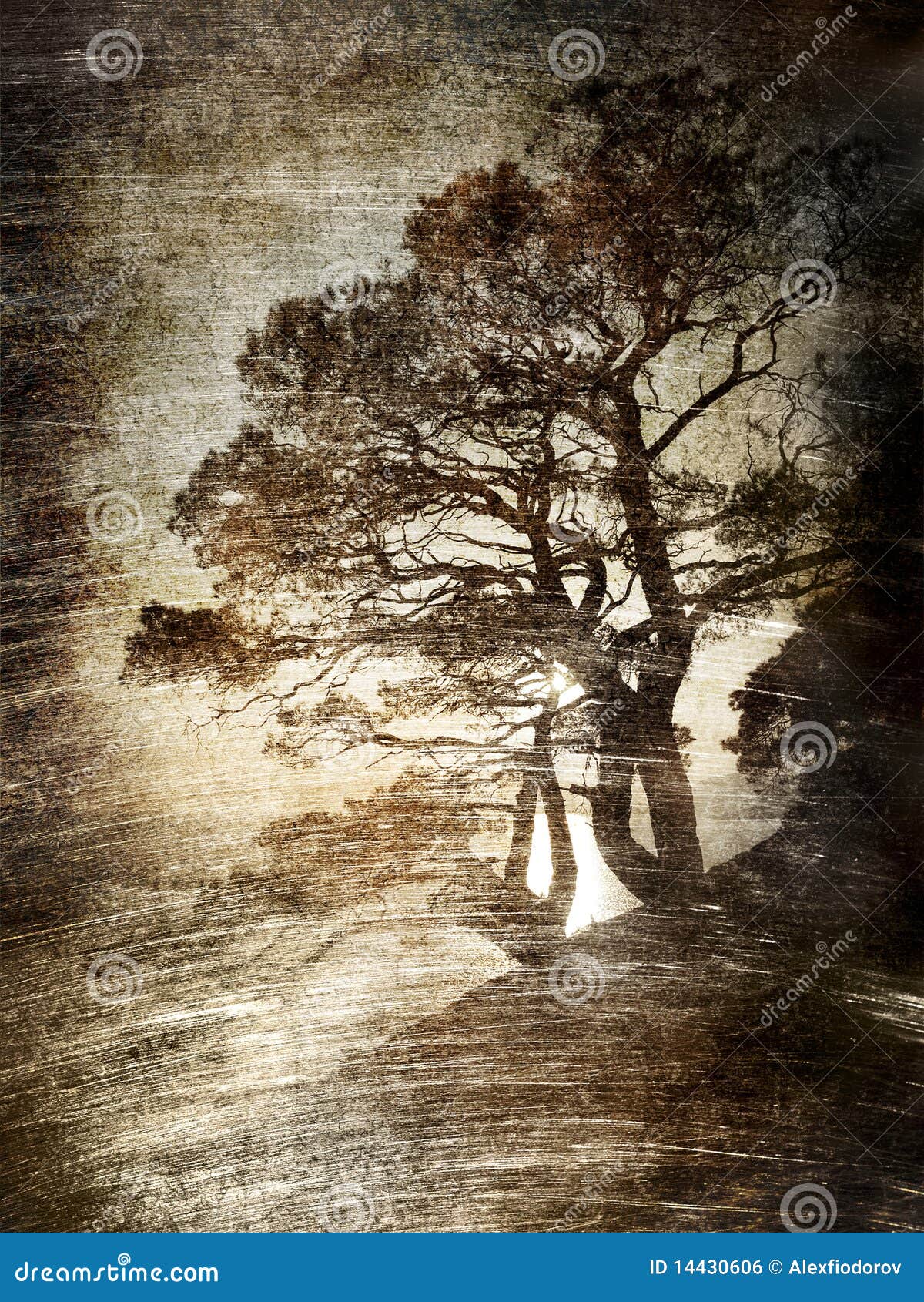 Tree. stock illustration. Illustration of distressed - 14430606