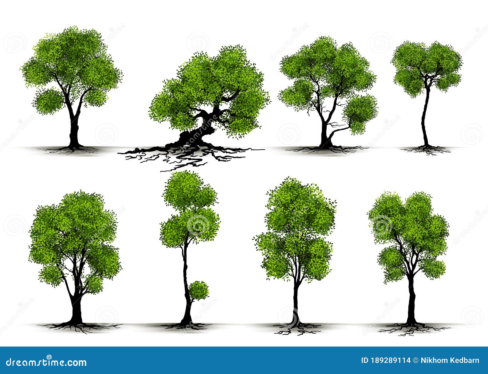 Illustration Realistic Tree Isolated on White Background - Vector Stock ...