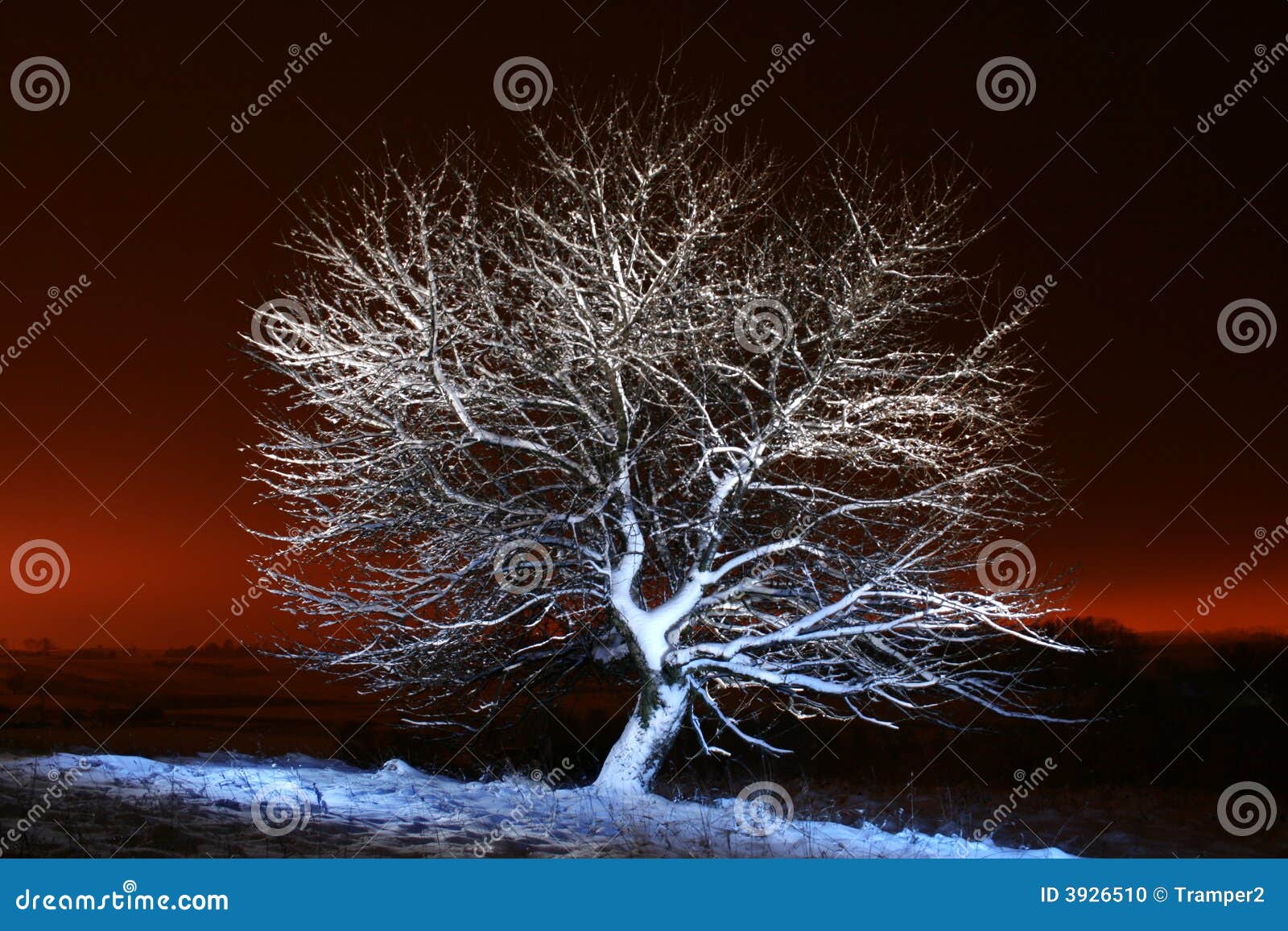 Heaven And Hell Tree