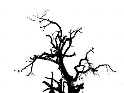 Tree stock illustration. Illustration of death, rotting - 634859