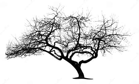 Tree stock illustration. Illustration of black, lone, fall - 736216