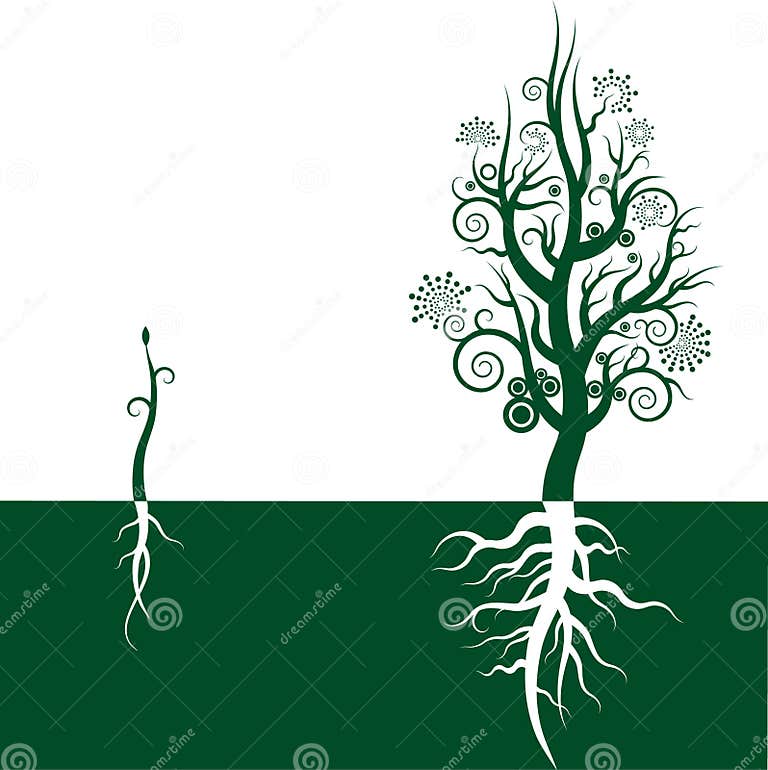 Tree stock vector. Illustration of plant, growth, nature - 8412781