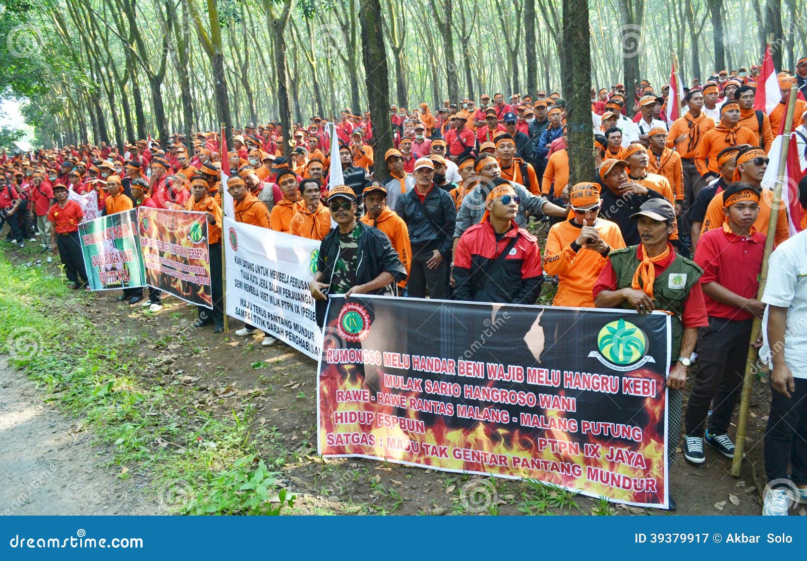 Tree action editorial photography. Image of environment - 39379917