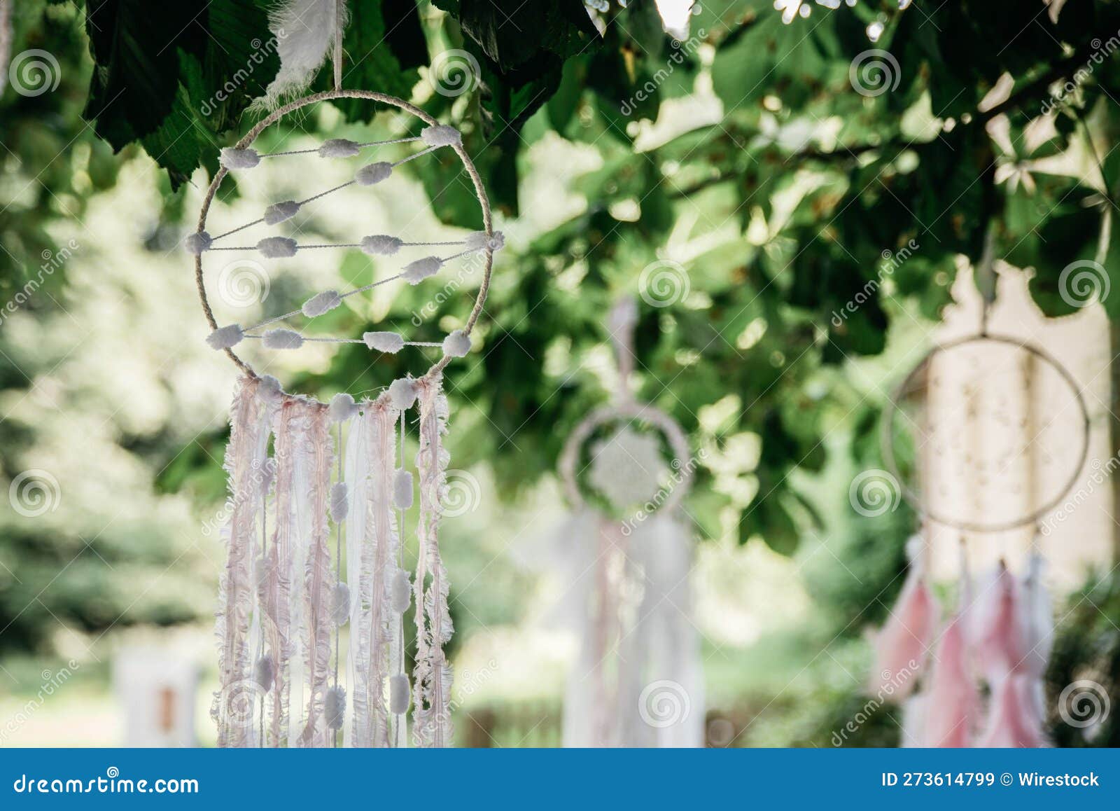 Tree Adorned with a Collection of White Dream Catchers Hanging from Its ...