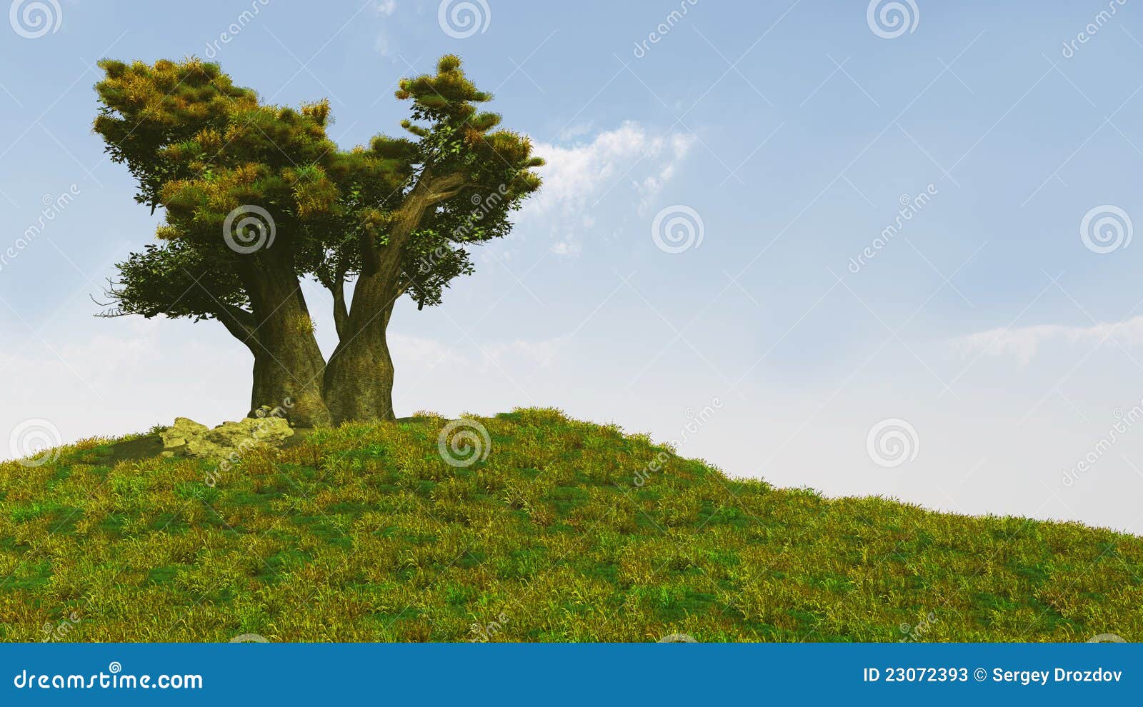 Tree against the sky stock image. Image of hill, idyllic - 23072393