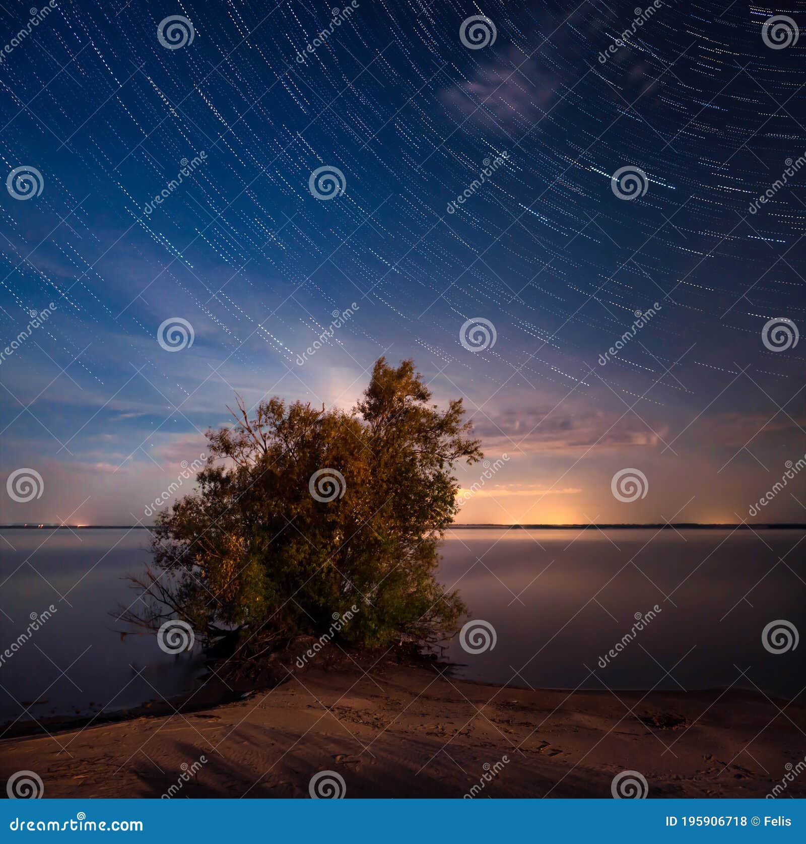 Tree Against Star Trail Filled Sky Stock Photo - Image of outdoors ...