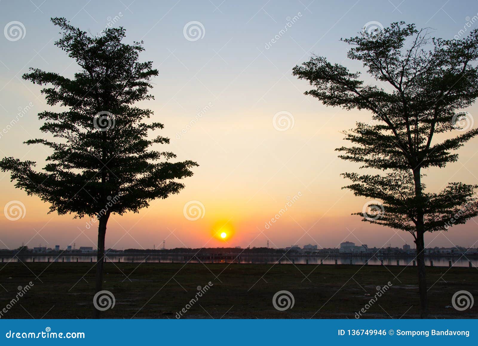 Tree against sunset sky. stock photo. Image of lake - 136749946
