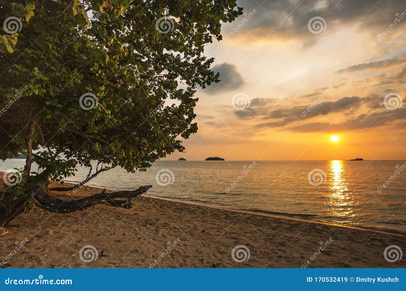 Tree against the sunset stock image. Image of island - 170532419