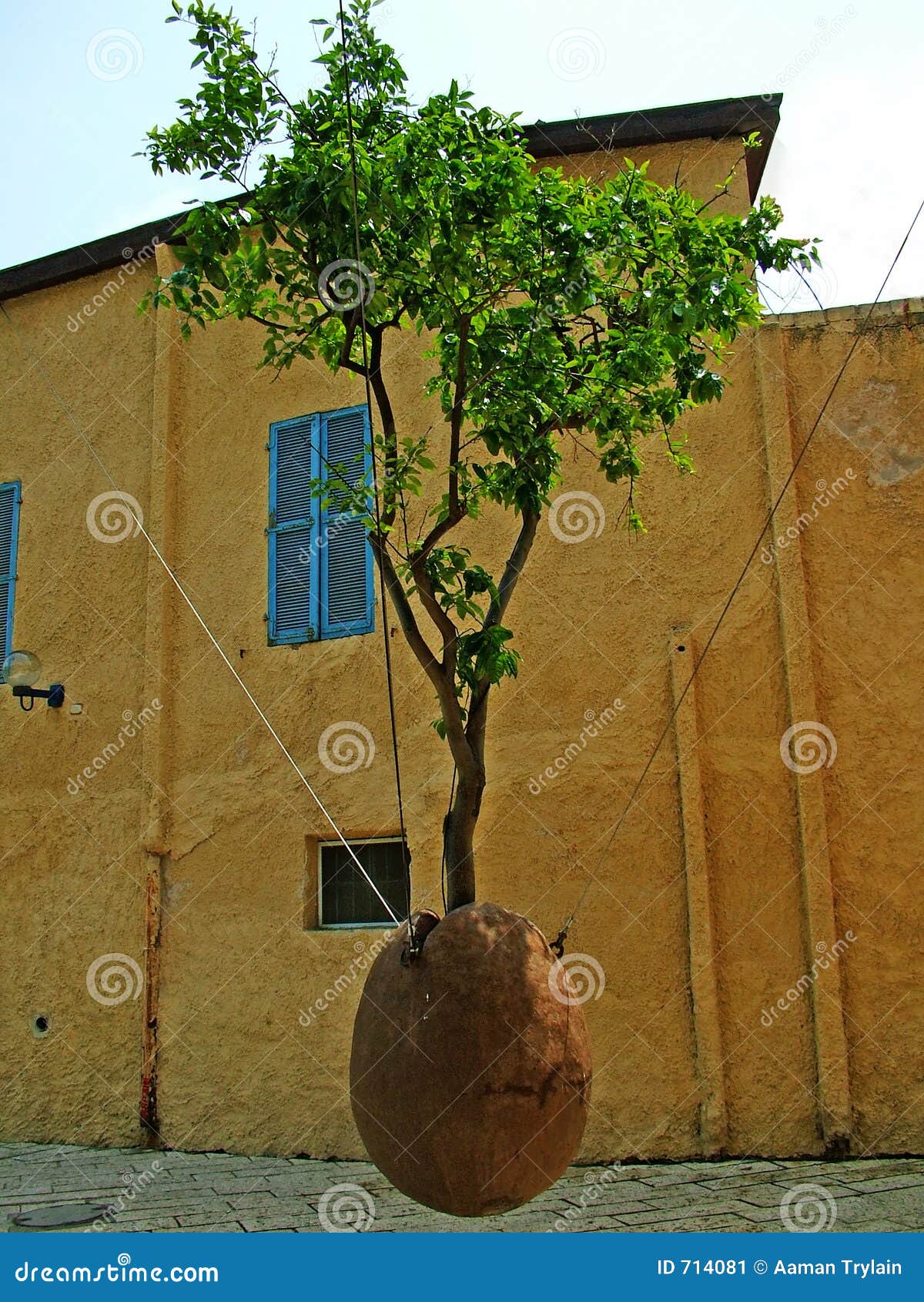 The Tree in the Air on Old Square of Jaffa Stock Image - Image of ...
