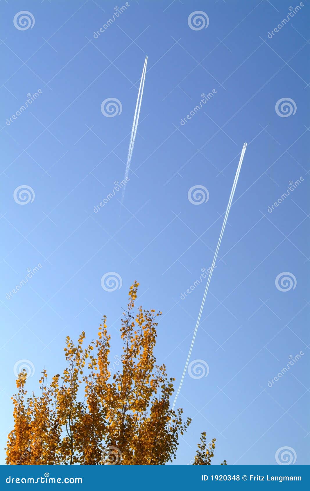 Tree with airplane stock photo. Image of height, autumn - 1920348