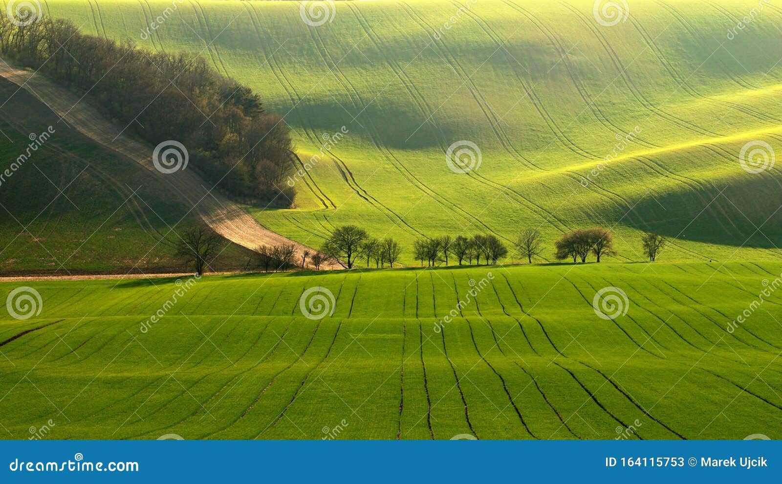 Undulating Road On A Hillside In A Wooded Area Of San Luis, Argentina ...