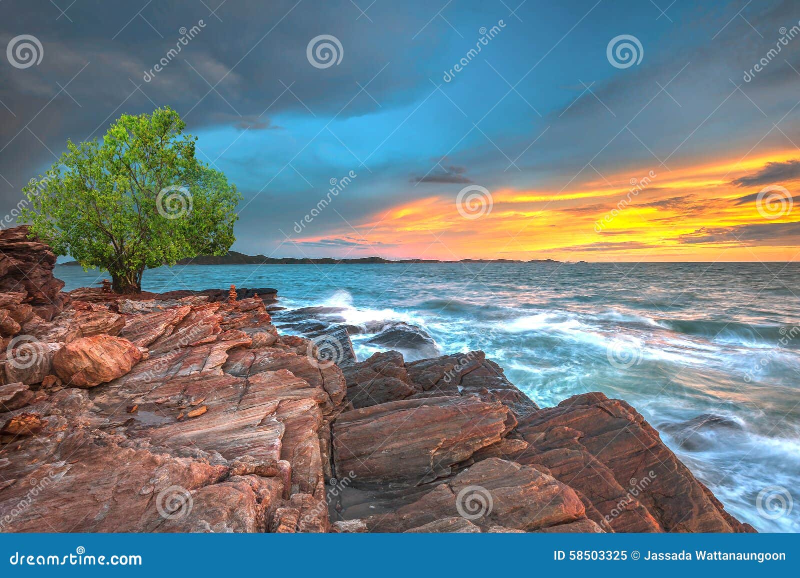 Tree Alone on the Rock Border the Sea Stock Image - Image of beauty ...