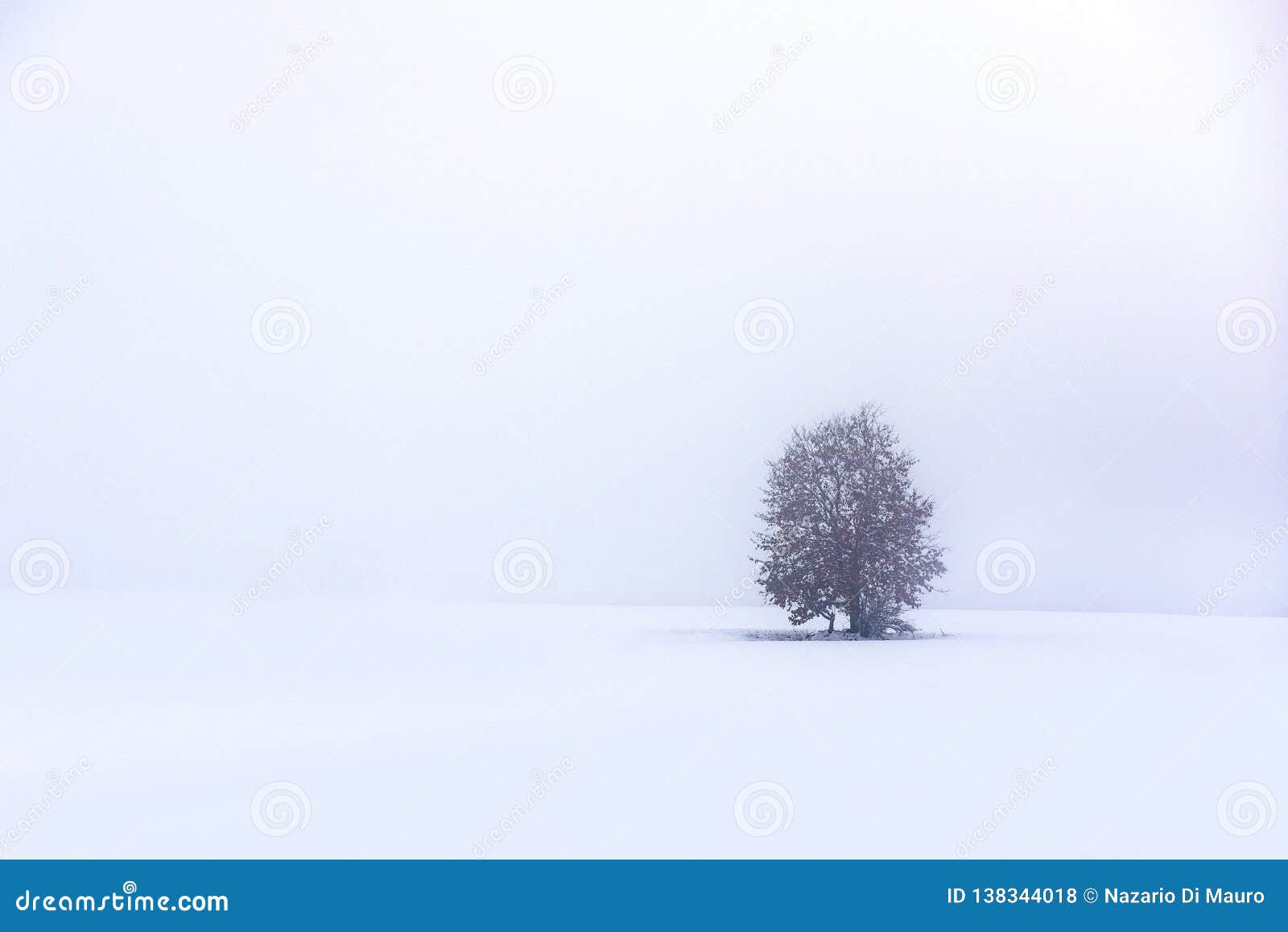 A tree alone in the snow stock photo. Image of branch - 138344018