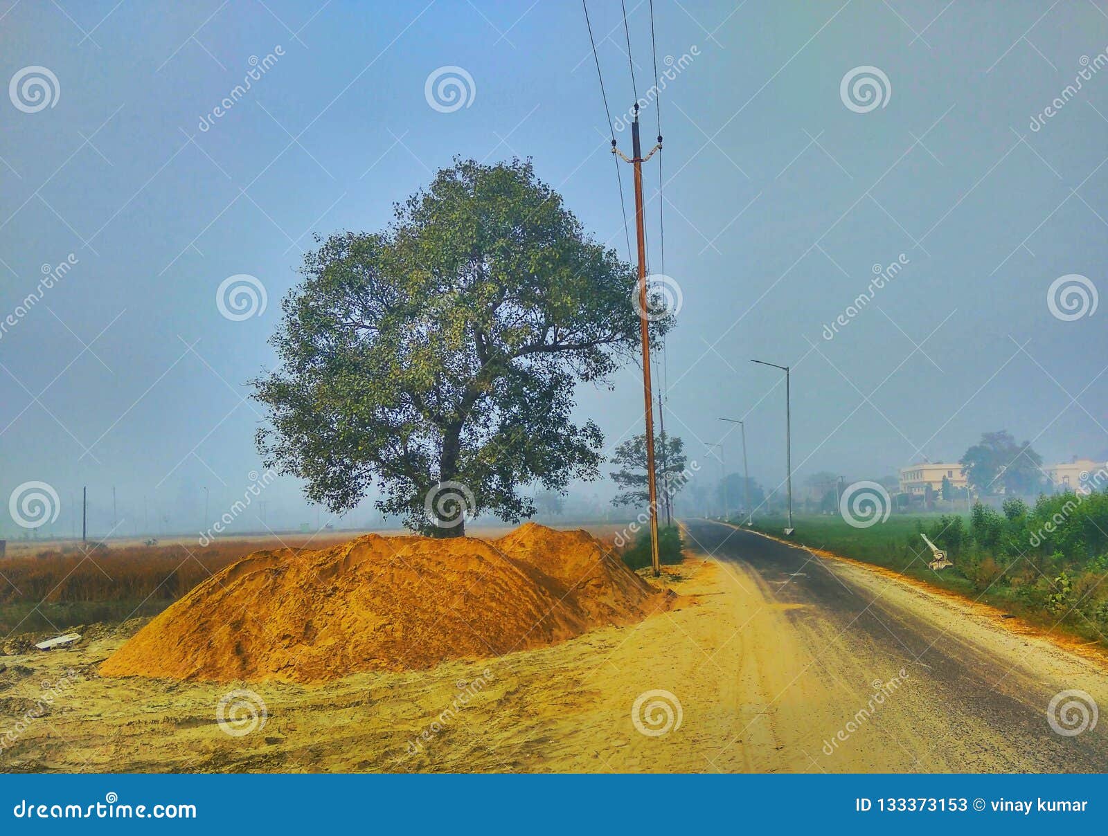 A tree along with a path stock image. Image of green - 133373153