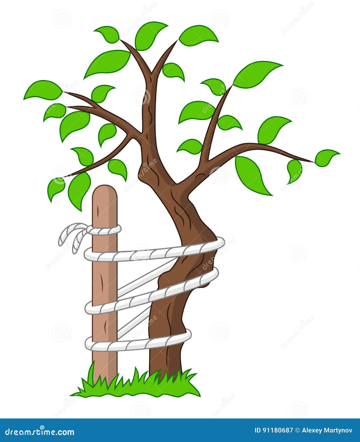 Orthopedic Symbol Tree