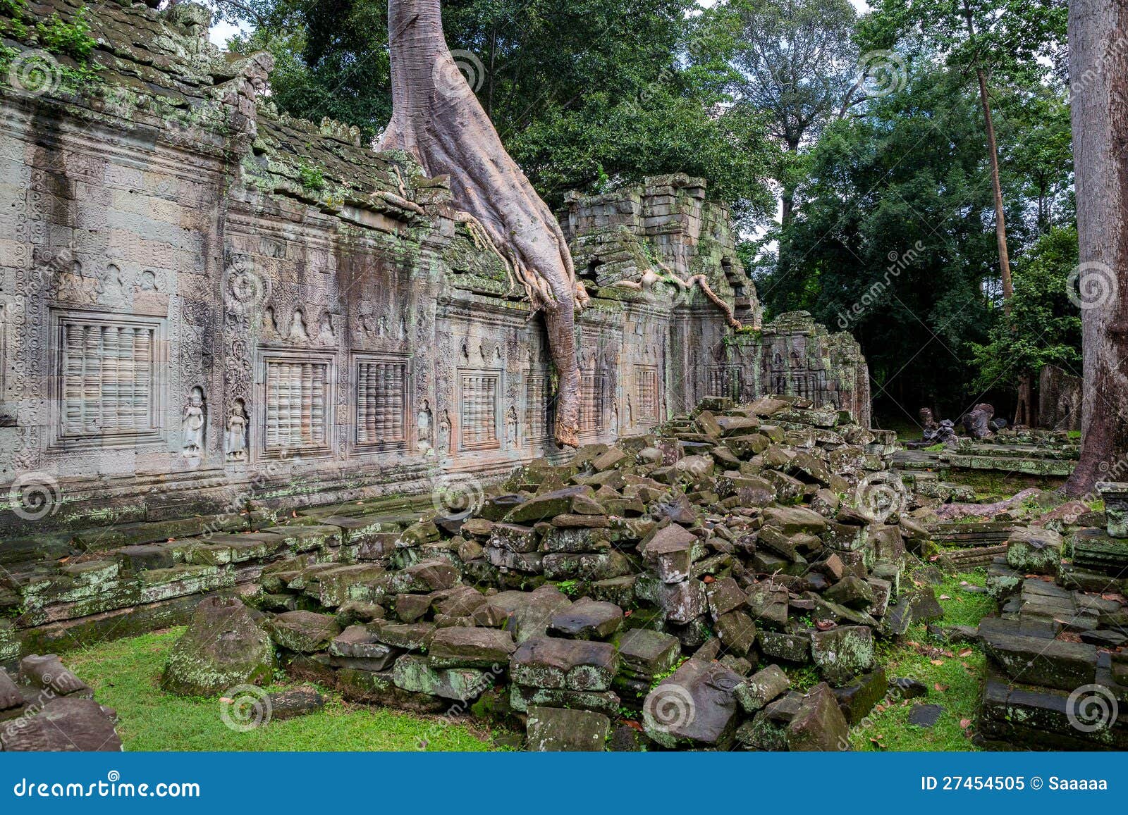 Tree in Angkor Wat stock image. Image of architecture - 27454505