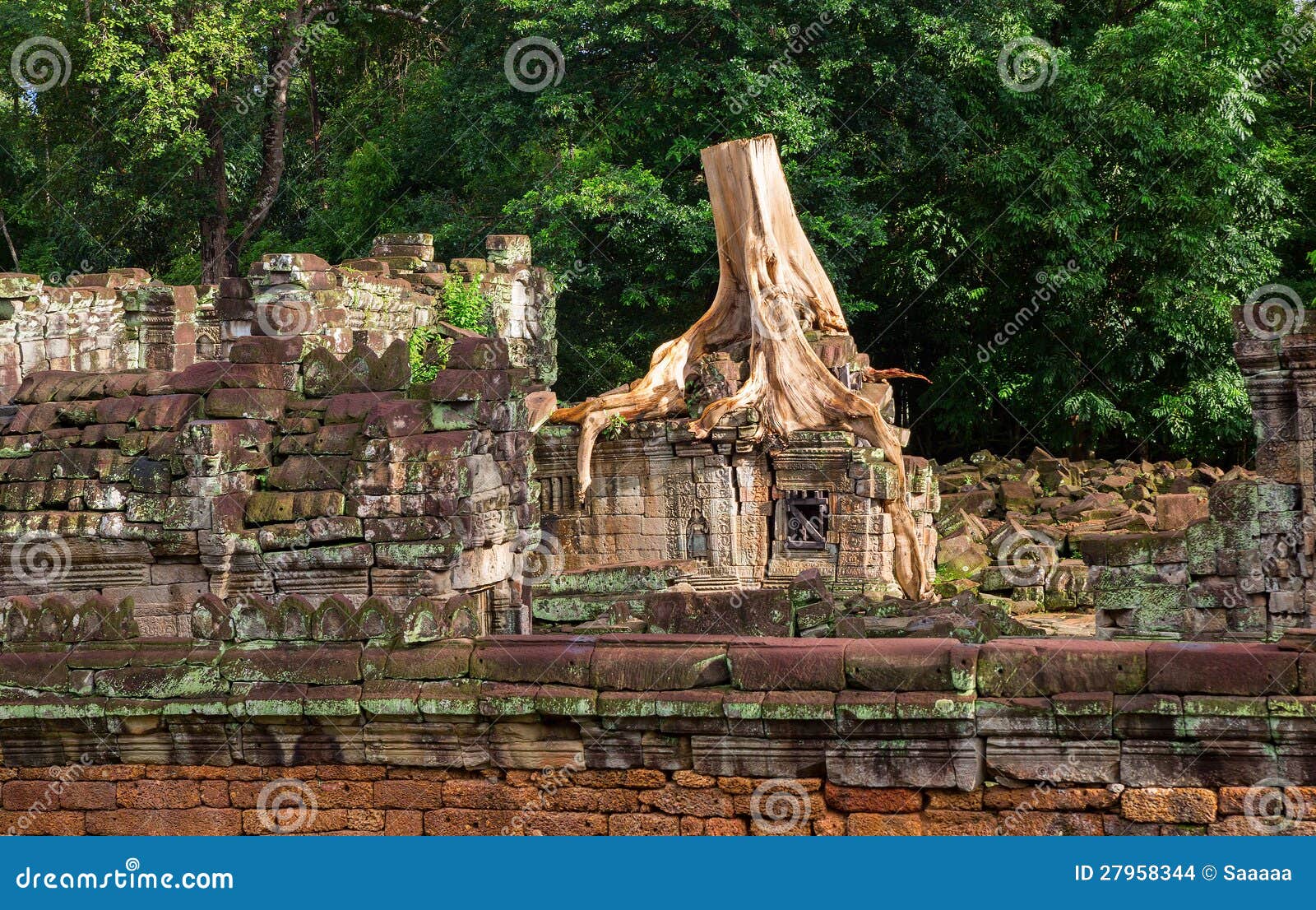 Tree in Angkor Wat stock photo. Image of angkorwat, asia - 27958344