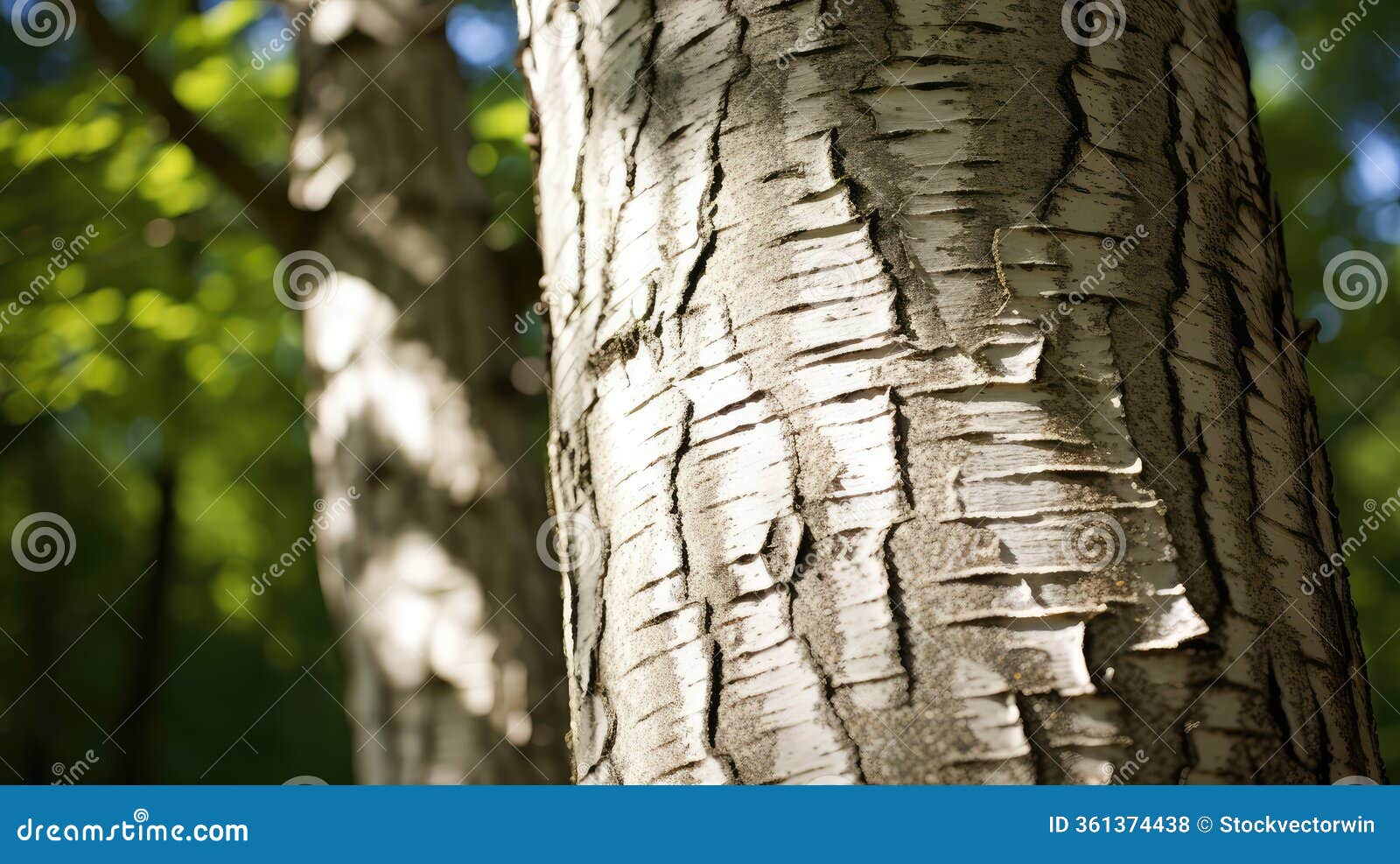 Emerald Ash Borer Beetle Close Up On Green Leaf. Shiny Emerald Green ...