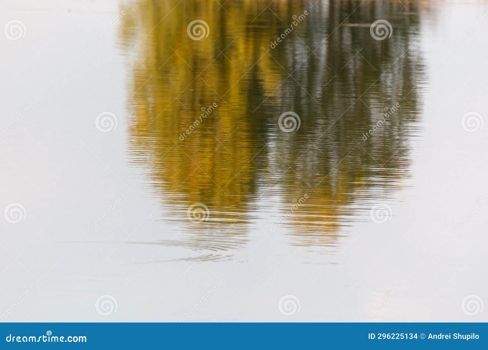 Tree in Autumn Reflection of Lake Water. Background Stock Photo - Image ...