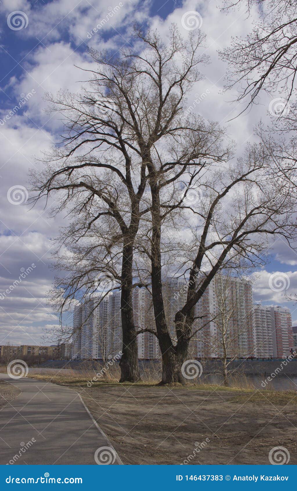 Tree of High-rise Buildings Stock Image - Image of incline, clouds ...