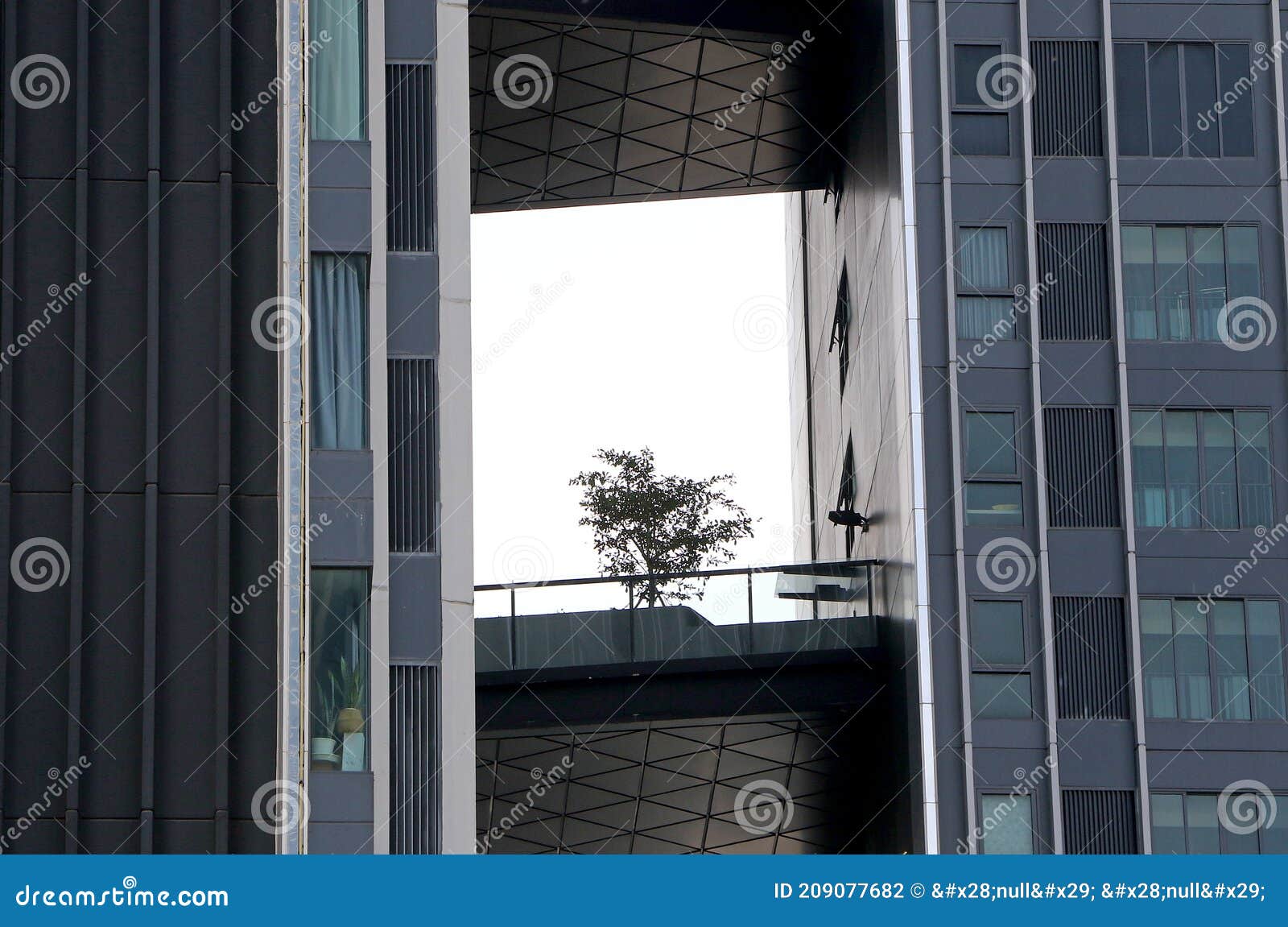A Tree on a Balcony of Modern Building Stock Photo - Image of window ...