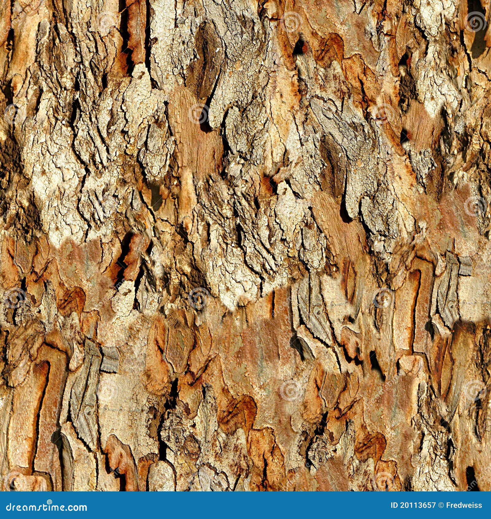 511 Tree Bark Seamless Texture Tile Photos - Free & Royalty-Free Stock ...