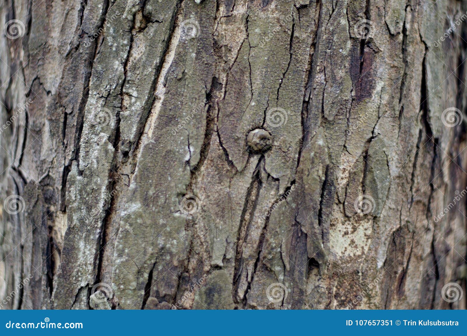 Tree Bark Background.Brown Tile Able Texture Stock Image - Image of ...