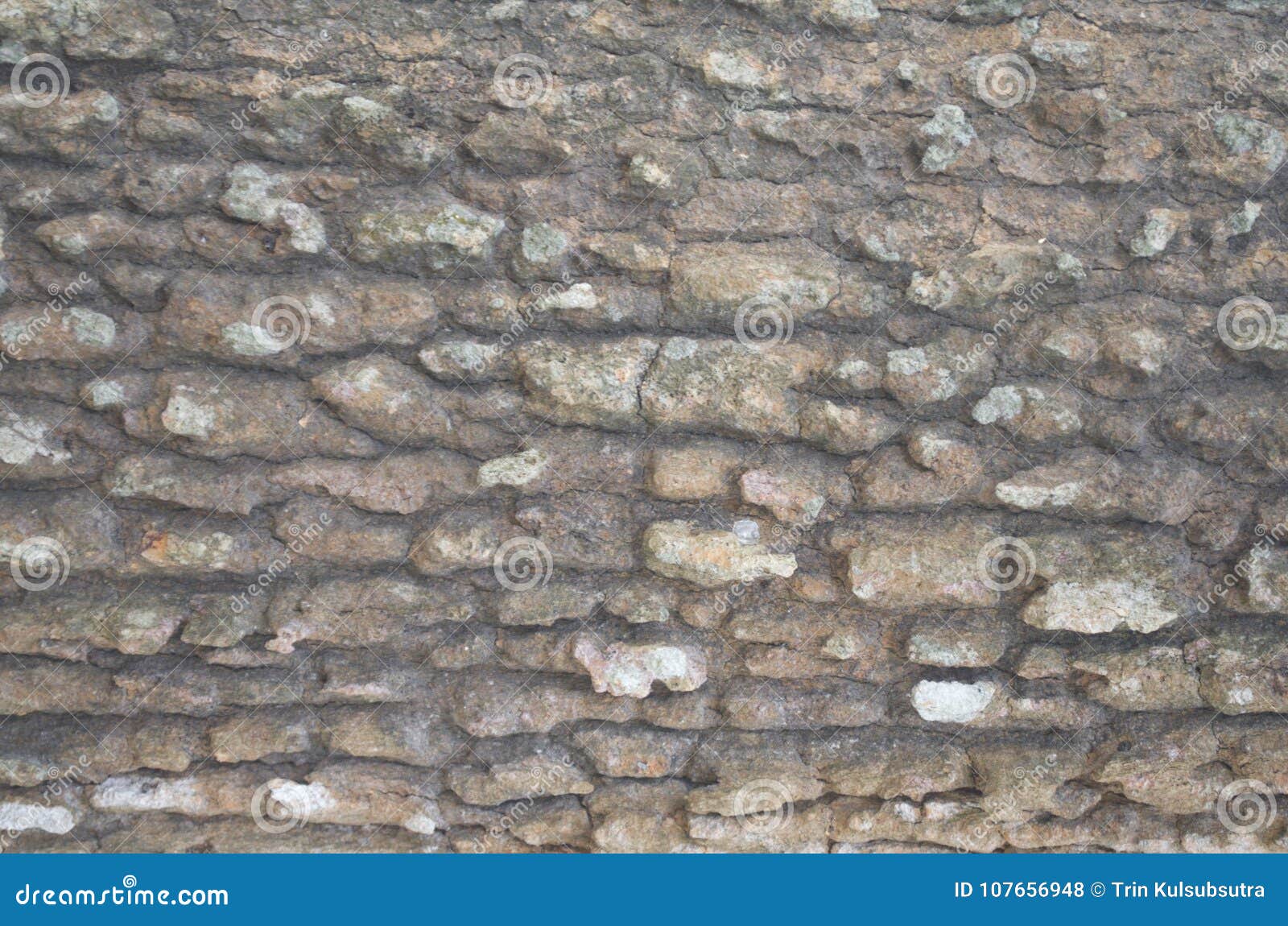 Tree Bark Background.Brown Tile Able Texture Stock Photo - Image of ...