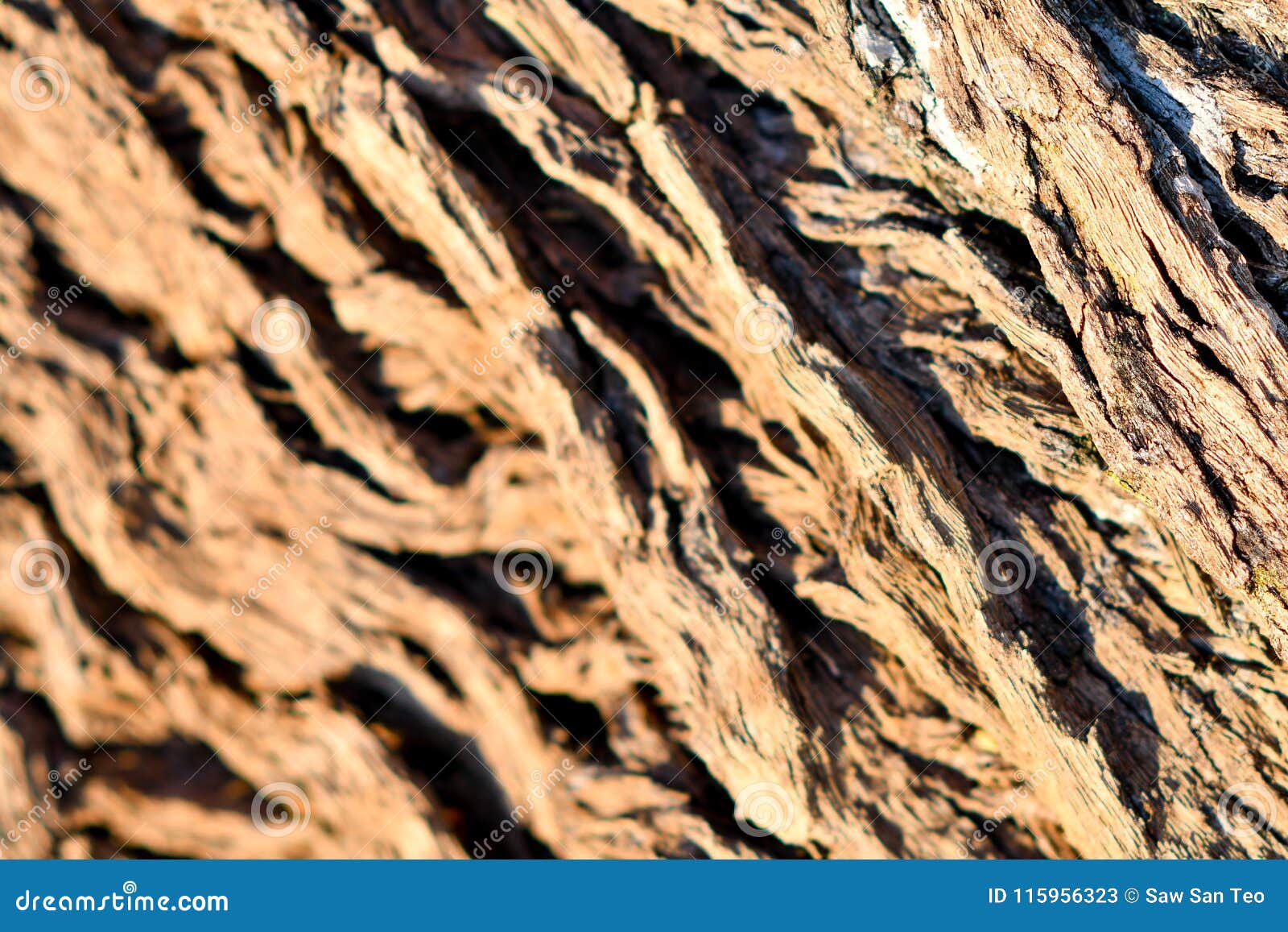 Tree bark background stock image. Image of grain, relief - 115956323