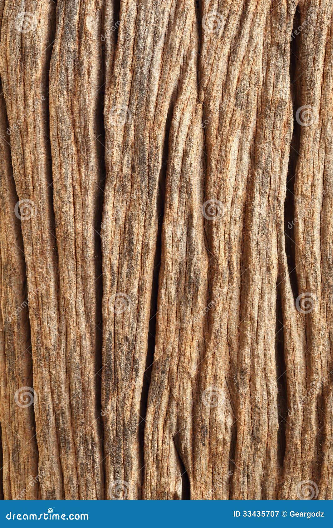 Tree Bark Background Texture Stock Image - Image of close, dirty: 33435707