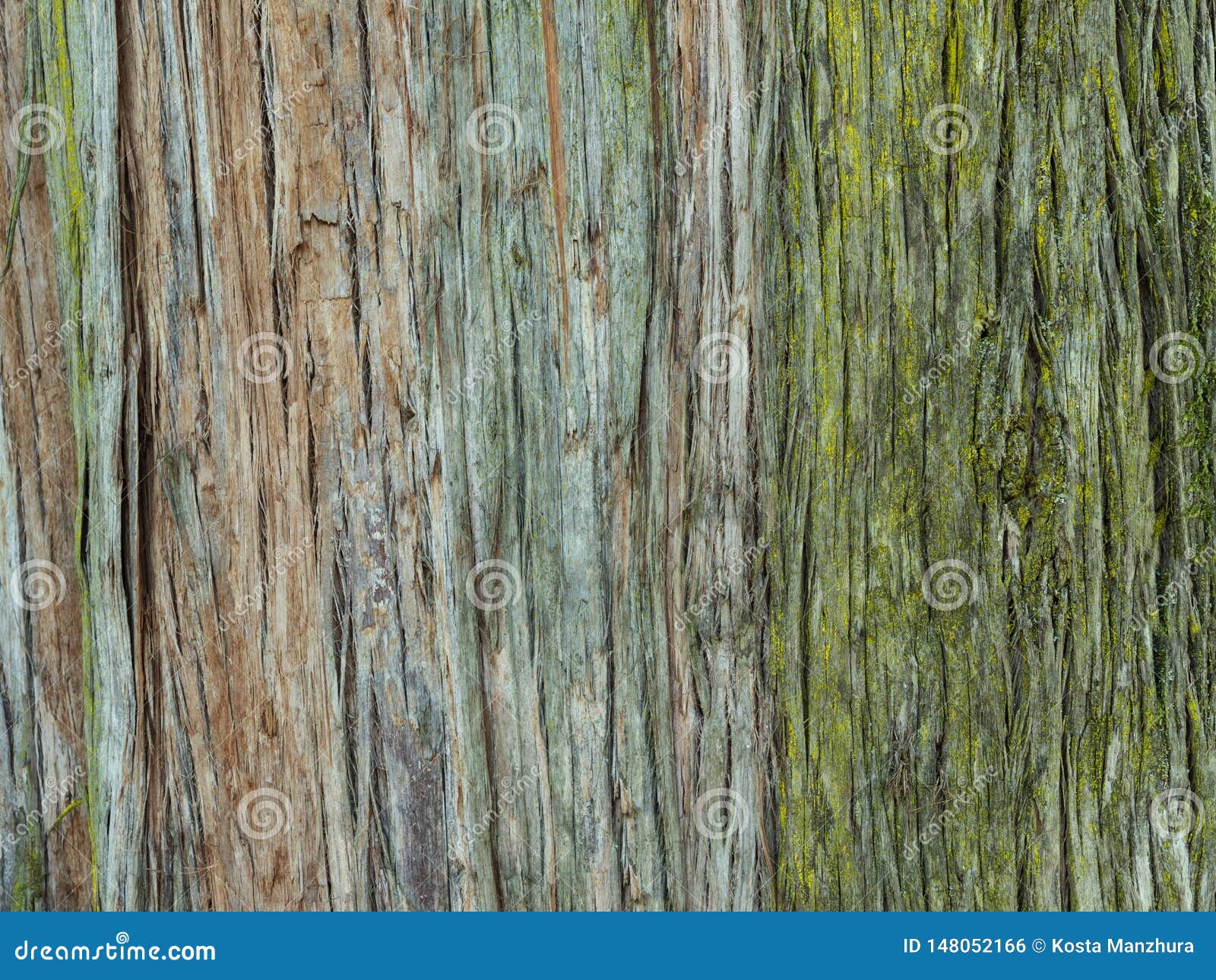 Tree Bark Background or Texture Pattern, Abstract Background and ...