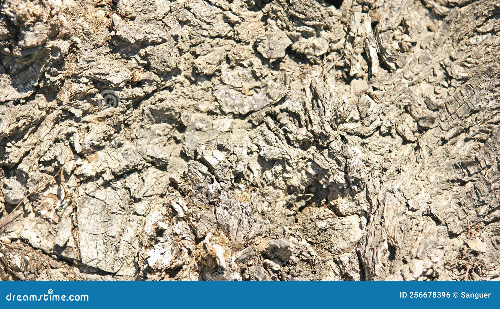 Tree bark for backgrounds stock photo. Image of desk - 256678396
