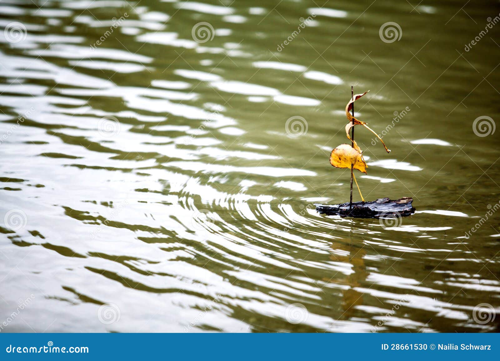 Tree Bark Boat stock photo. Image of childhood, tree - 28661530
