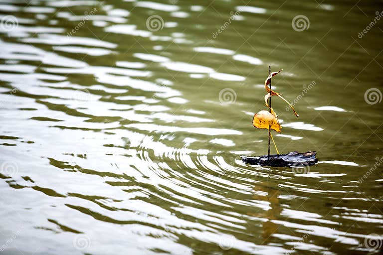 Tree Bark Boat stock photo. Image of childhood, tree - 28661530