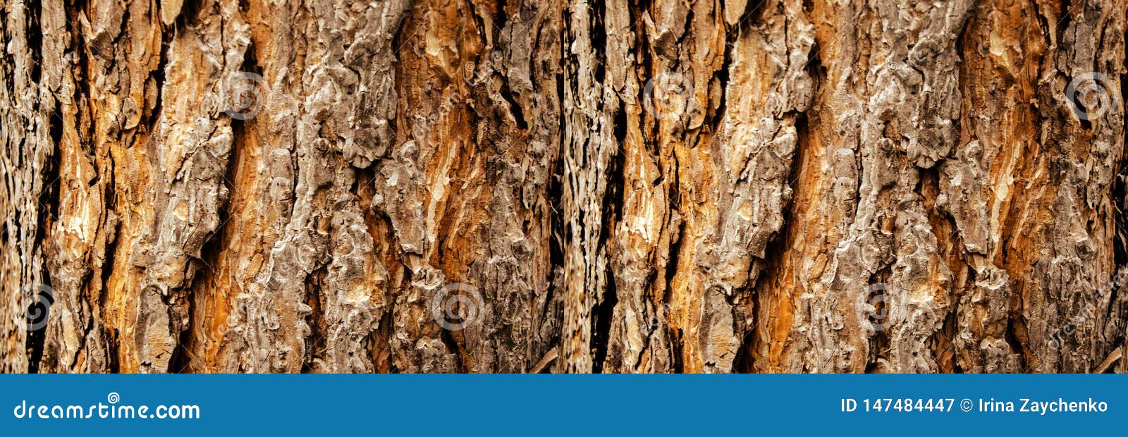 Tree Bark Close-up, Horizontal Layout Stock Image - Image of color ...