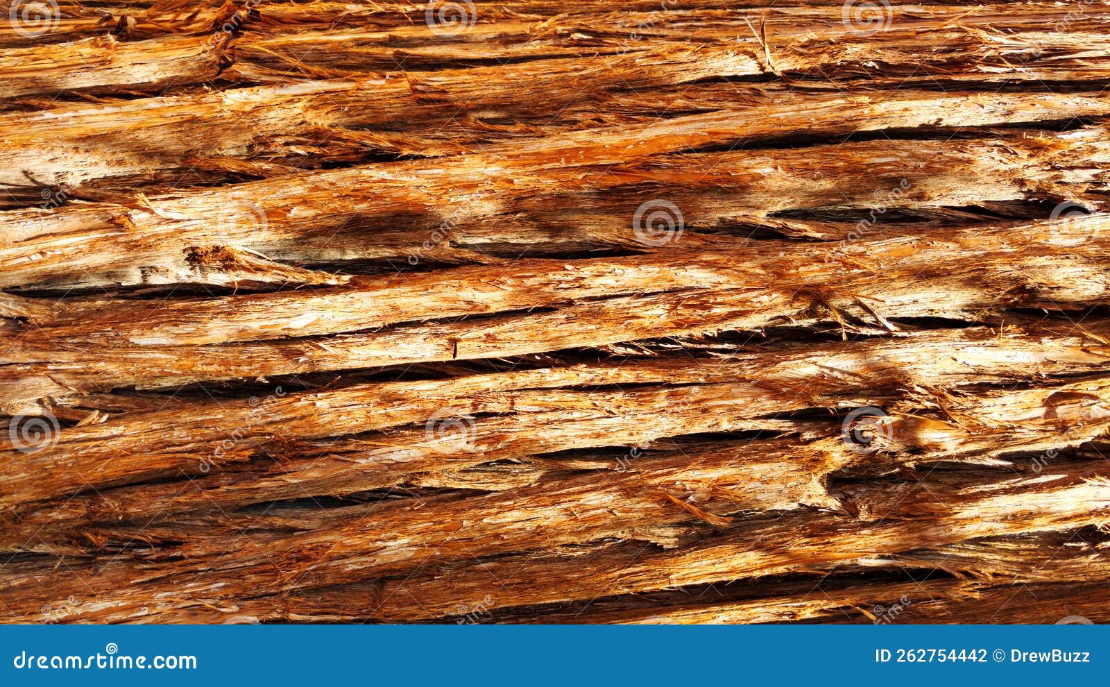 Tree Bark Closeup Natural Wood Lumber Log Logging Timber Stock Photo ...