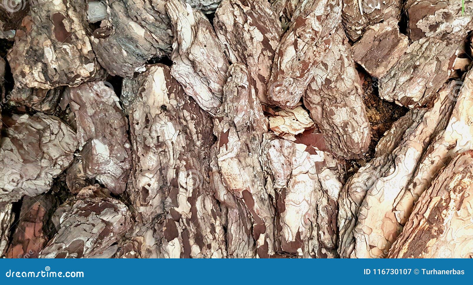 Tree bark on floor stock image. Image of wallpaper, soil - 116730107