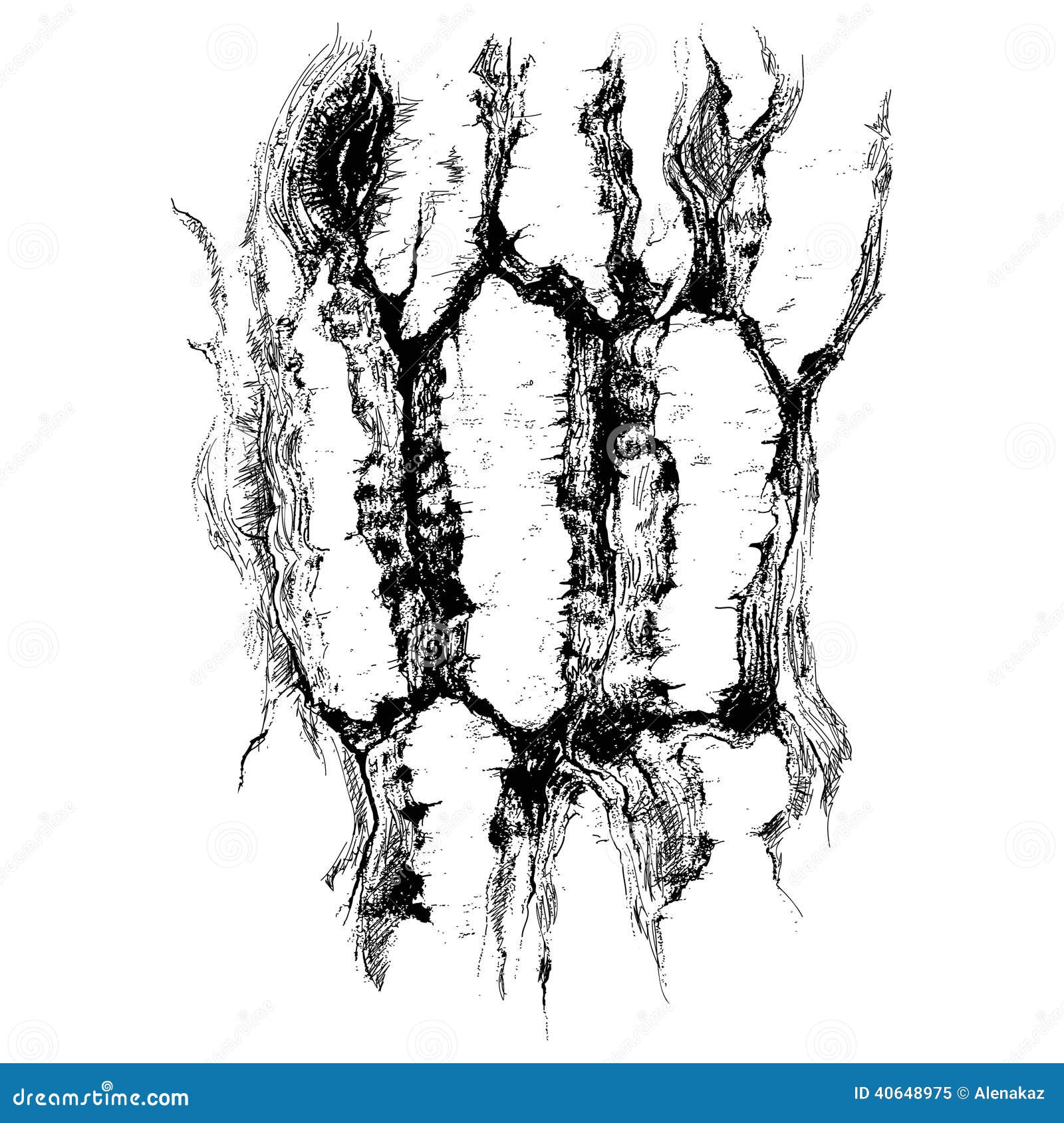 Tree bark stock vector. Illustration of bark, closeup - 40648975
