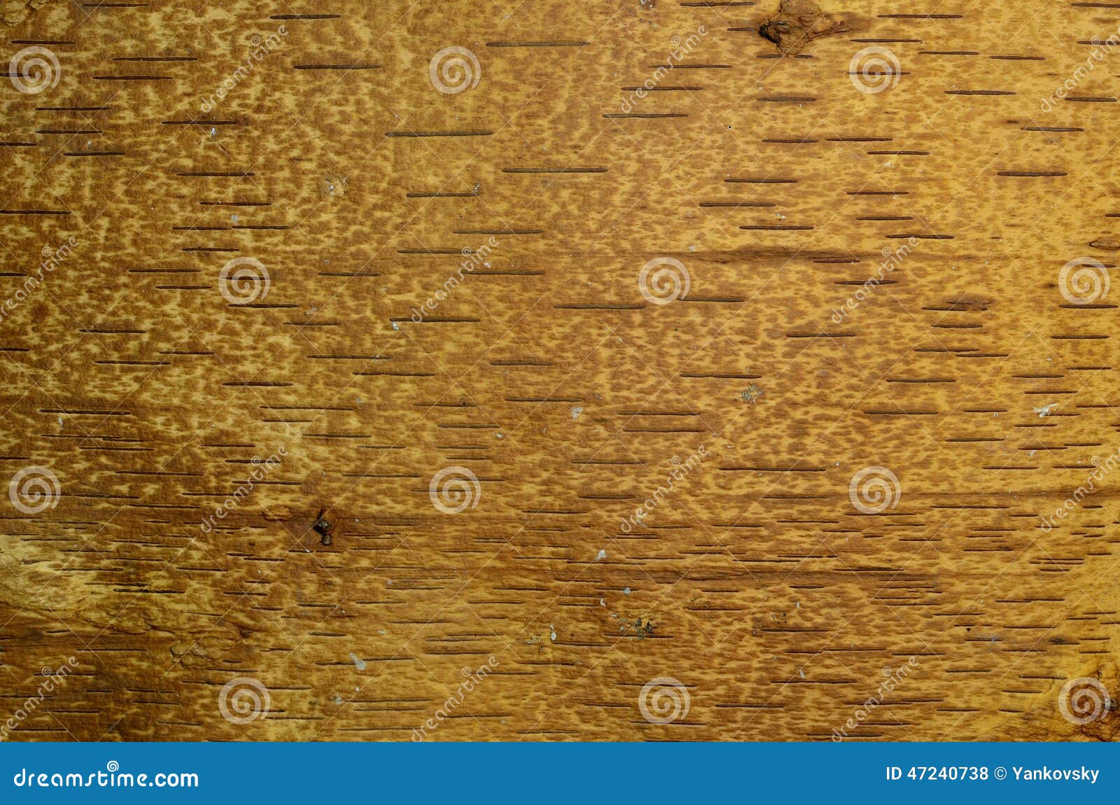 Tree bark stock photo. Image of brown, texture, wood - 47240738