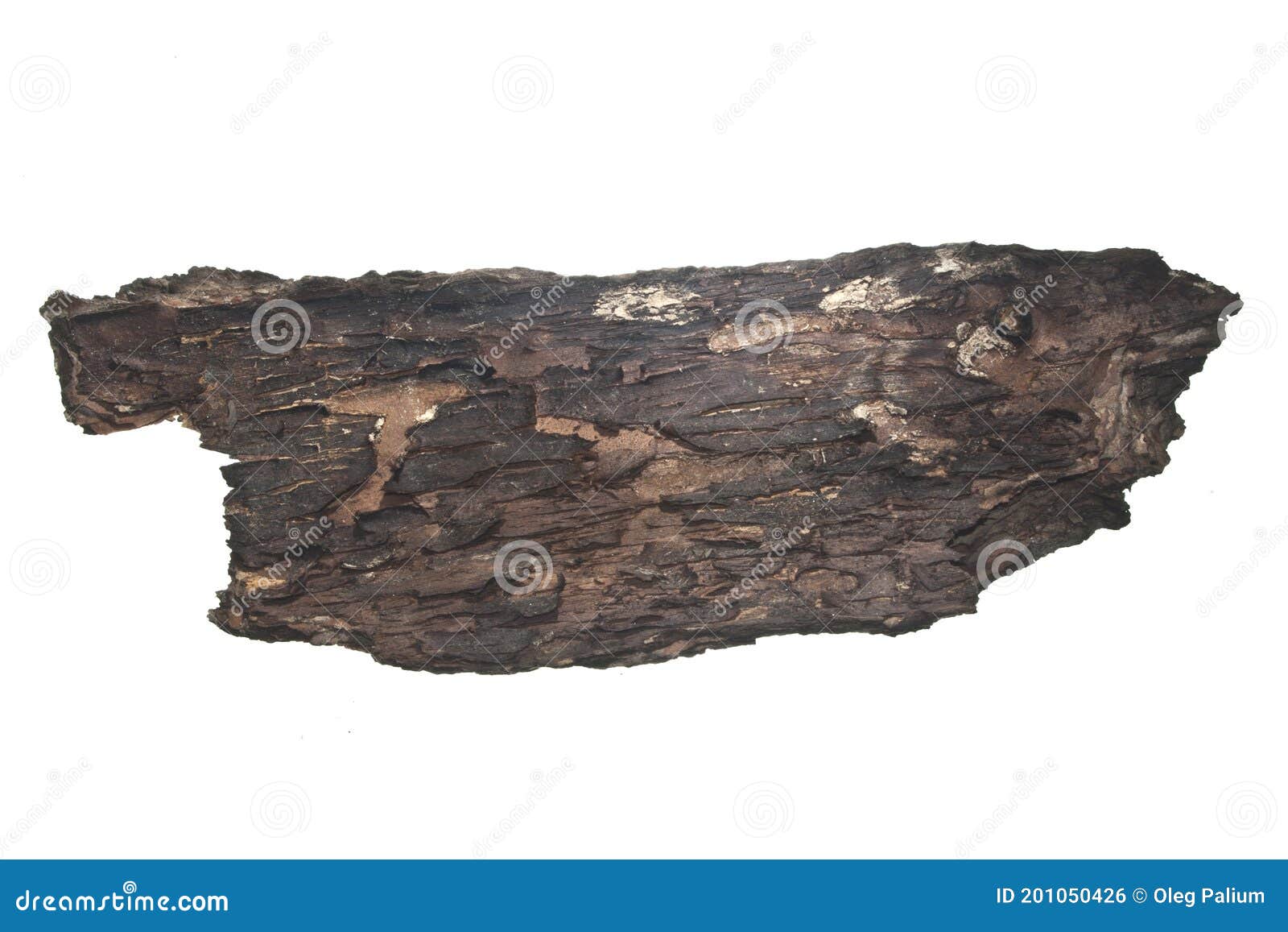 Tree Bark Isolated on White Background Stock Photo - Image of ...