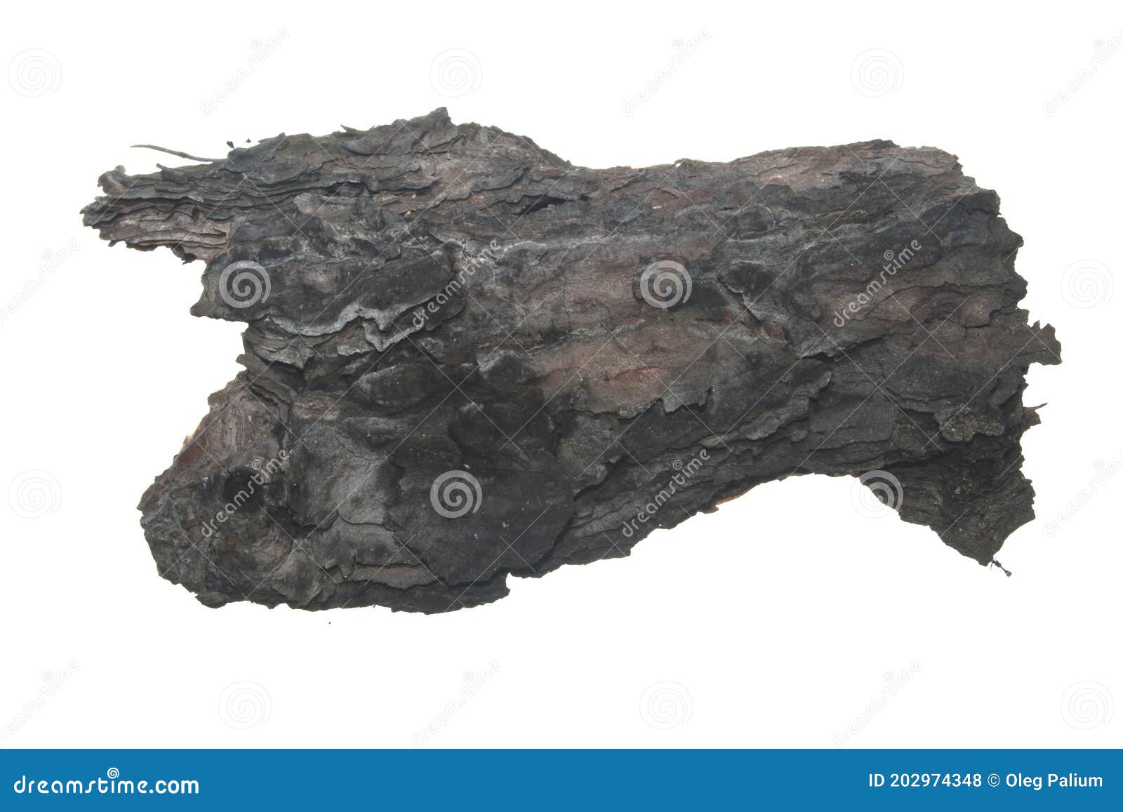 Tree Bark Isolated on White Background Stock Photo - Image of brown ...