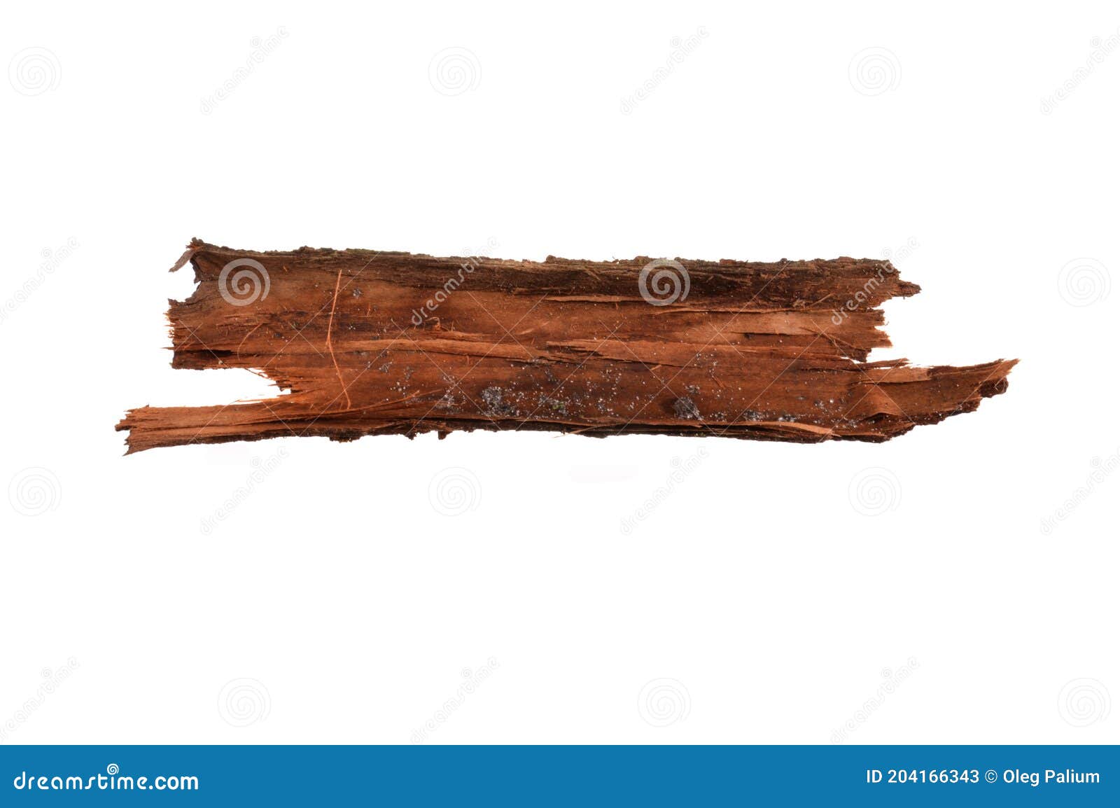 Tree Bark Isolated on White Background Stock Image - Image of flora ...
