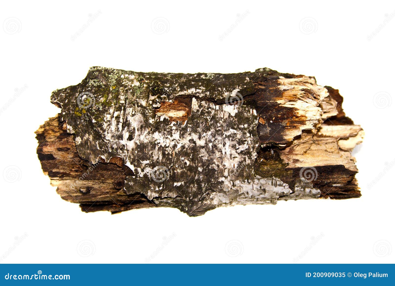 Tree Bark Isolated on White Background Stock Image - Image of color ...