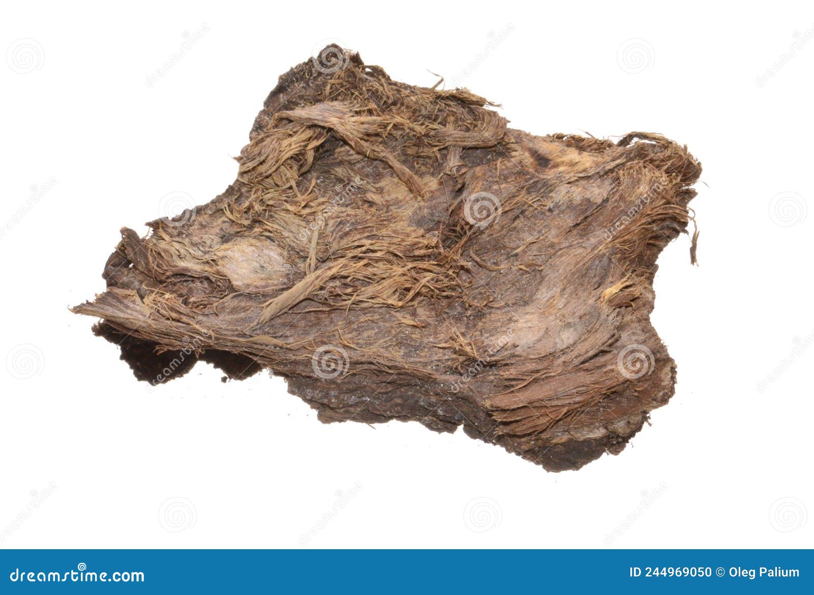 Tree Bark Isolated on White Background Stock Photo - Image of natural ...