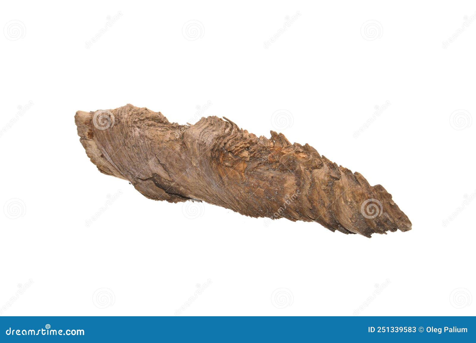 Tree Bark Isolated on White Background Stock Image - Image of detail ...