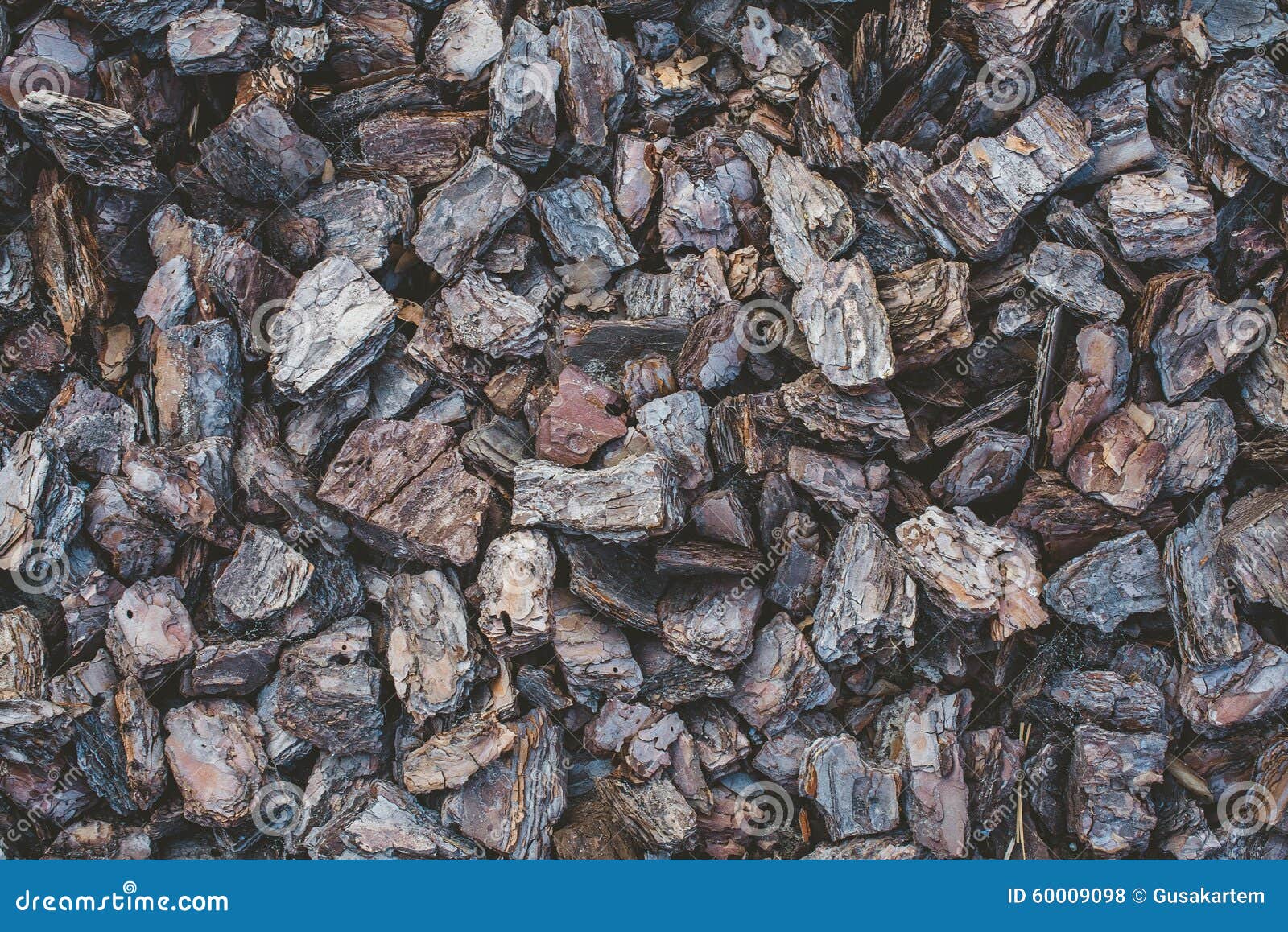 Tree bark mulch stock photo. Image of cork, landscape - 60009098