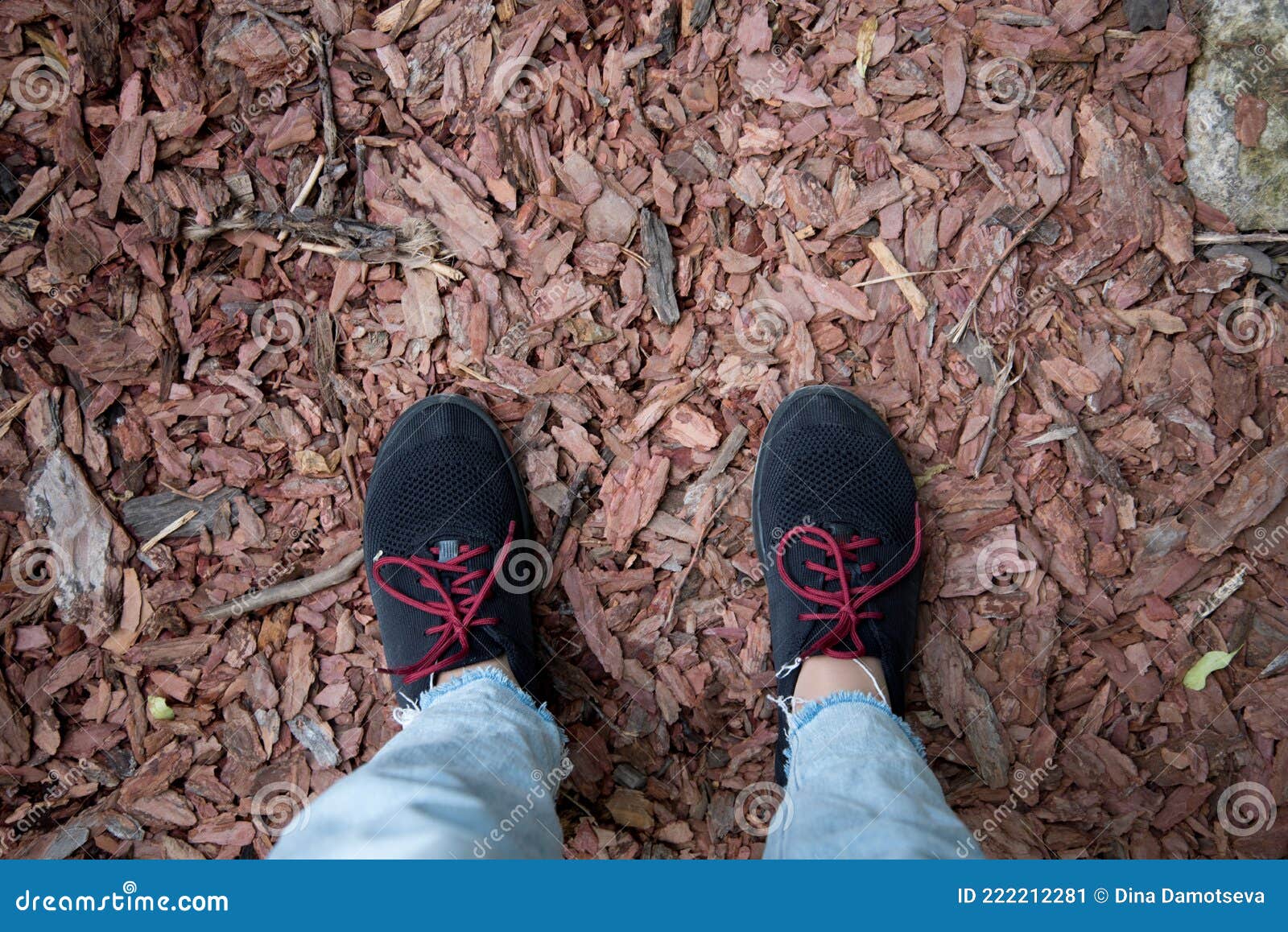 Tree Bark Path. on the Path are Feet in Black Textile Sneakers. View ...
