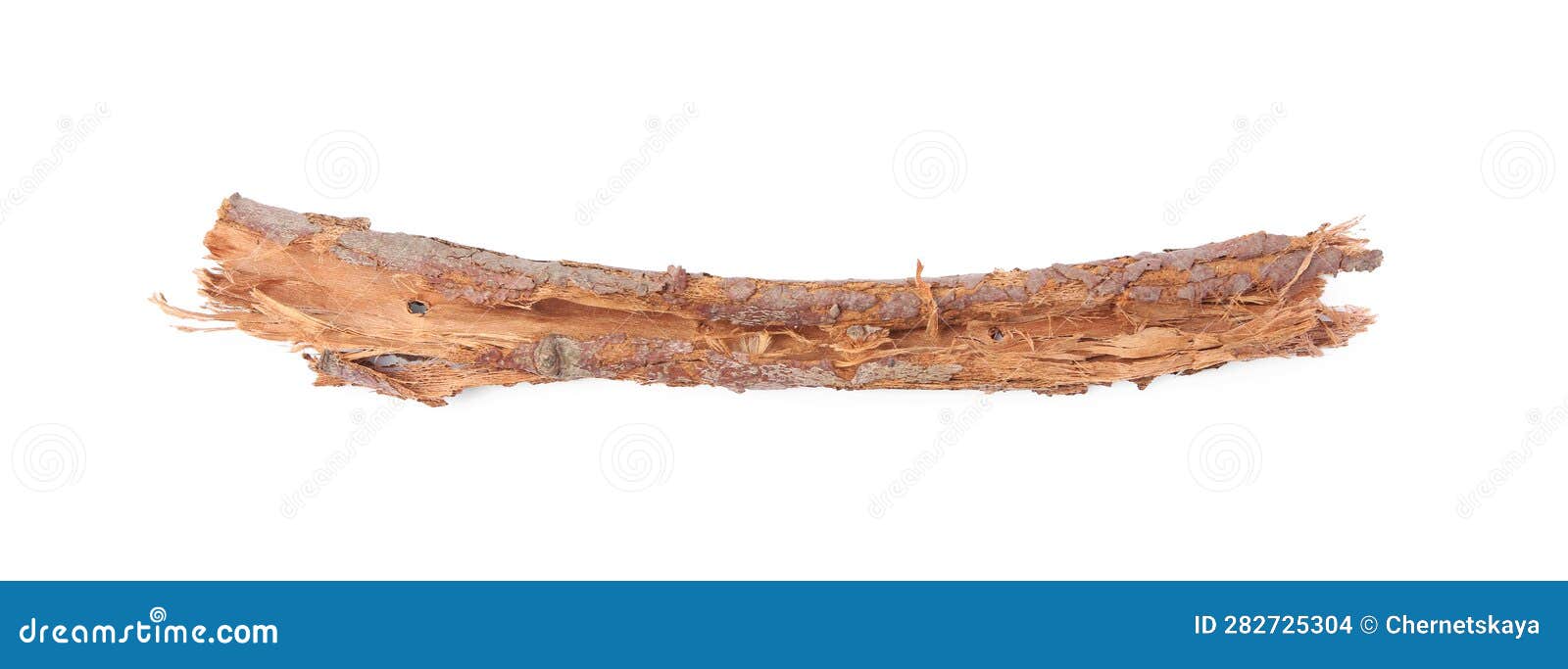 Tree Bark Piece Isolated on White, Top View Stock Photo - Image of ...