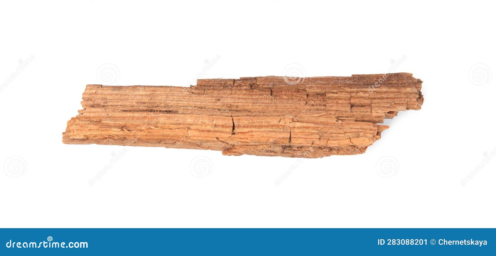 Tree Bark Piece on White Background, Top View Stock Image - Image of ...